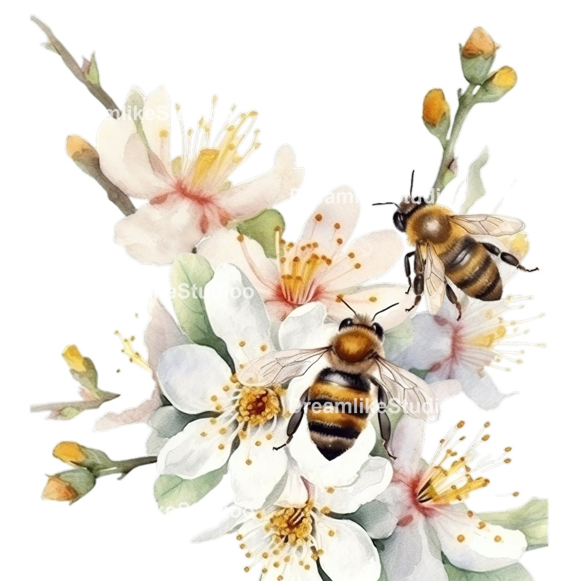 Honey Bee Clipart PNG Watercolor Commercial Use Clipart Bees - Etsy