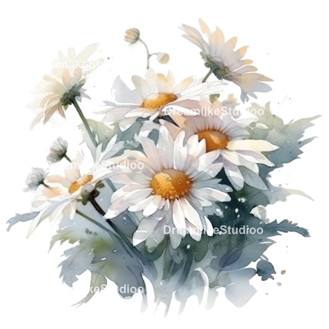 Watercolor Daisies Clipart Daisies Bouquet PNG Commercial - Etsy
