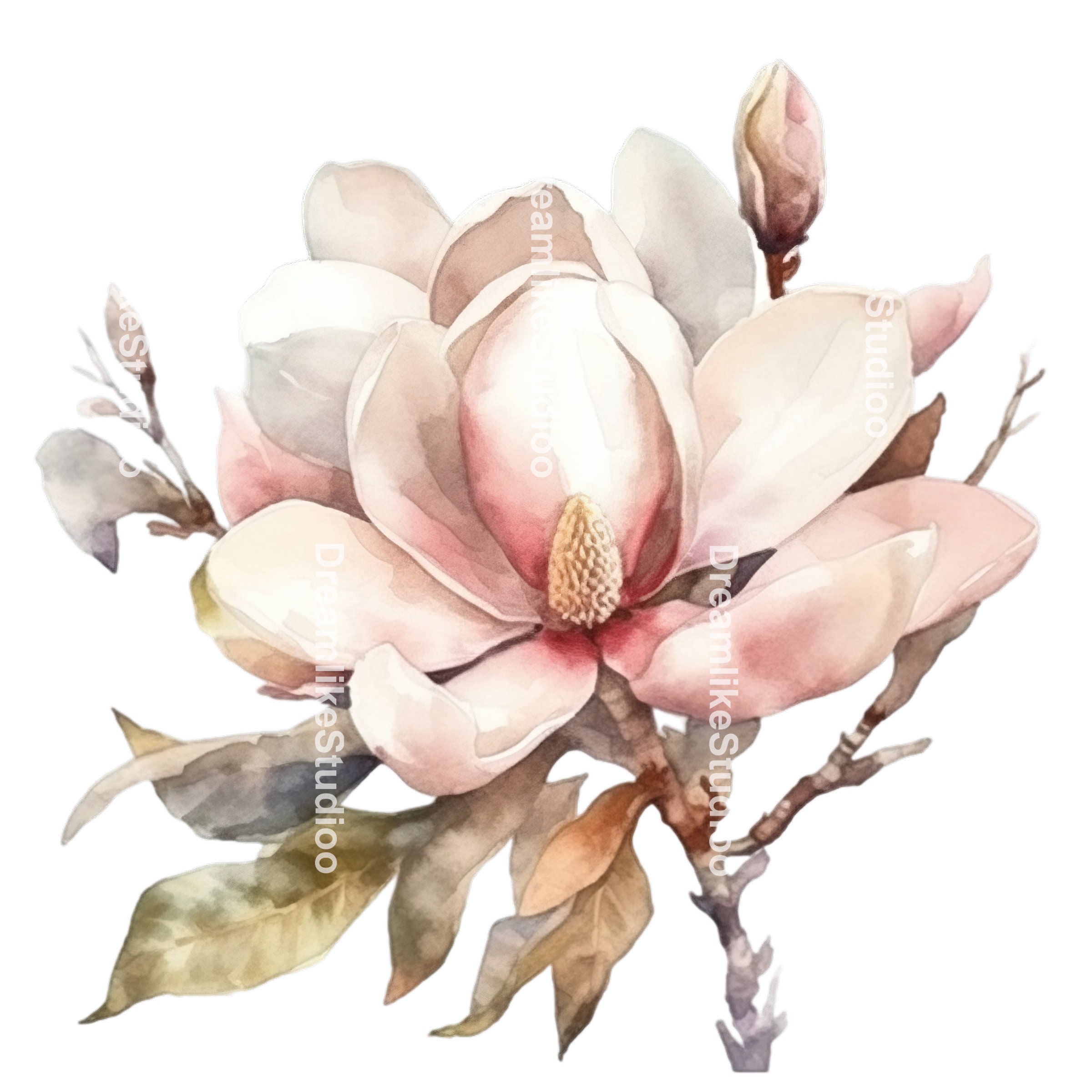 Watercolor Magnolia Clipart Commercial Use Magnolia PNG Pink - Etsy
