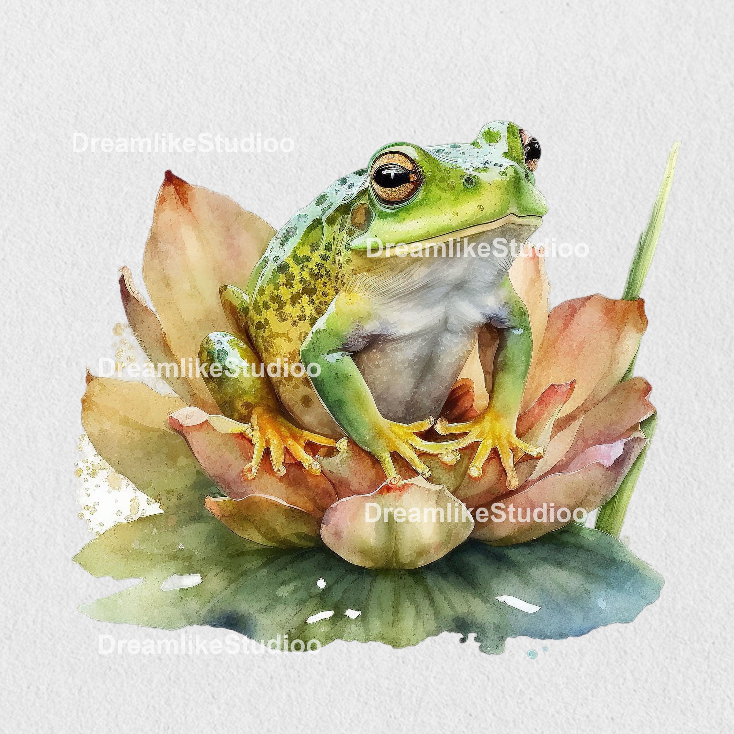 Frog PNG Watercolor Frogs Clipart Commercial Use Cute Frog - Etsy