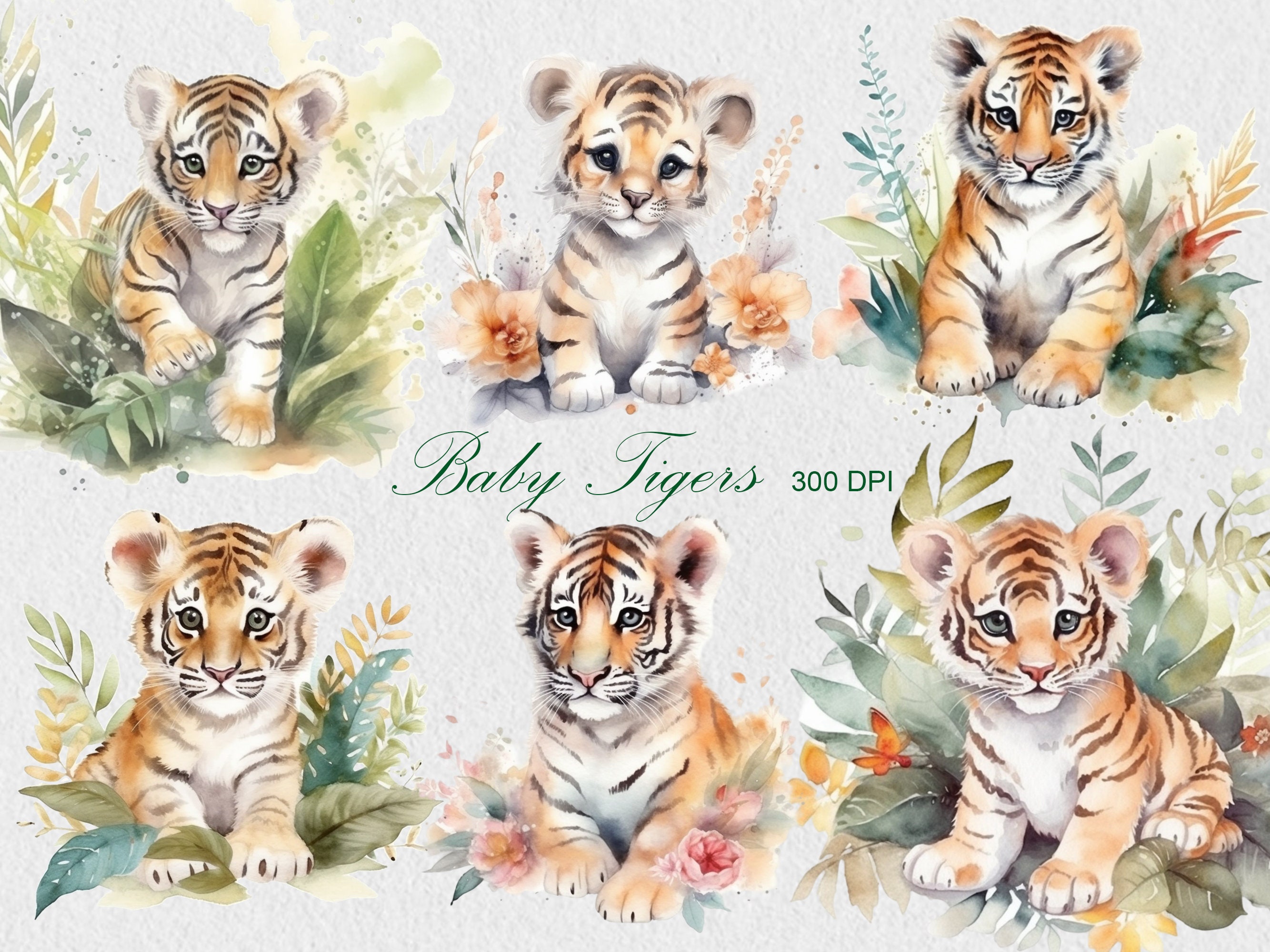 Baby Tiger Png