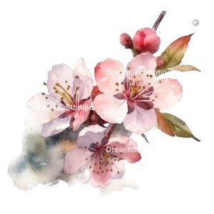 Watercolor Cherry Blossom Clipart, Commercial Use Spring Flowers ...