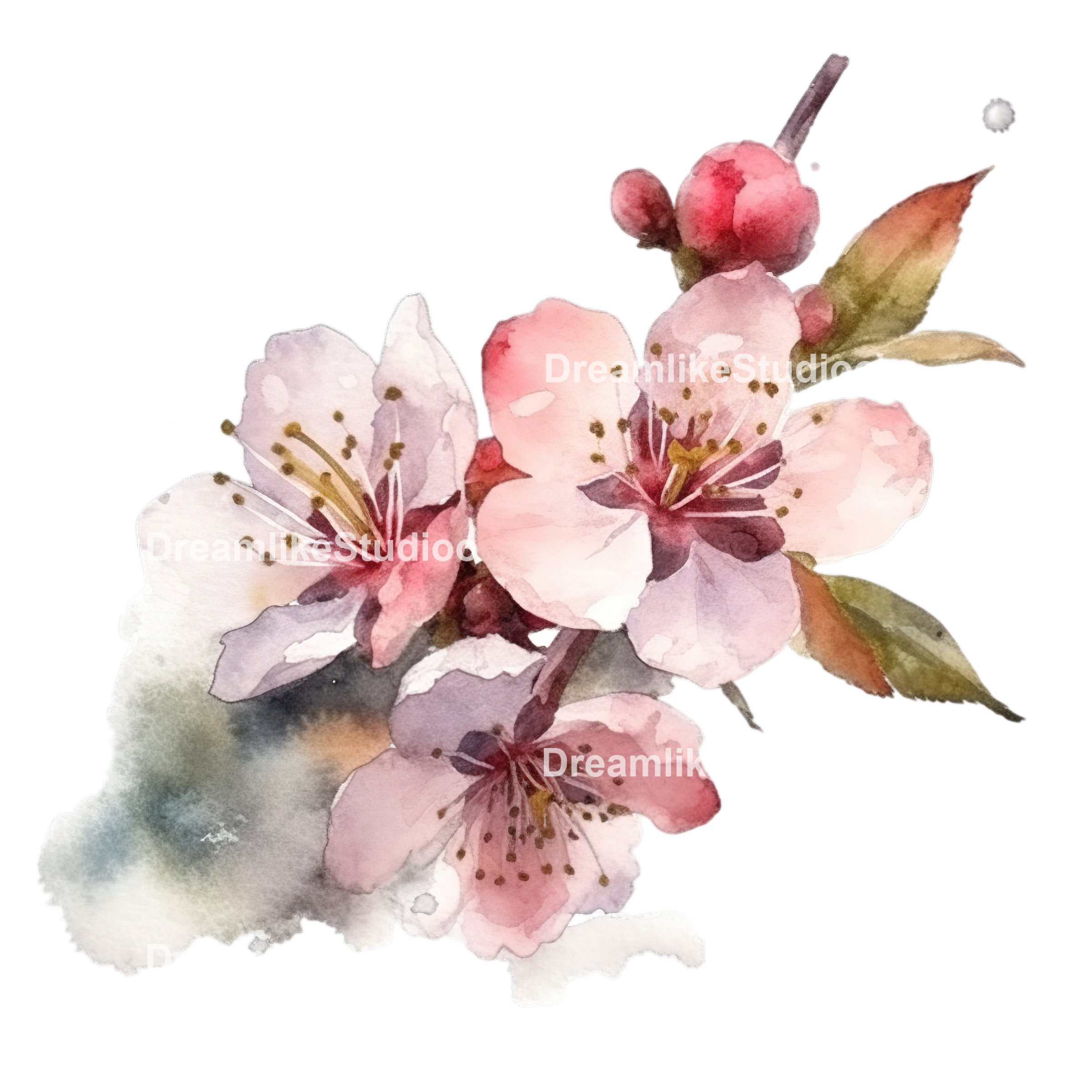 Watercolor Cherry Blossom Clipart Commercial Use Spring - Etsy