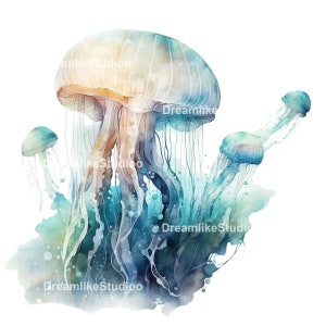 Watercolor Jellyfish Clipart, Commercial Use Clipart, Ocean Life ...