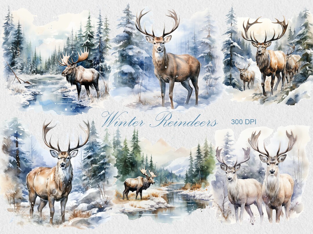 Watercolor Reindeer Clipart, Commercial Use Winter Deer PNG, Wildlife ...