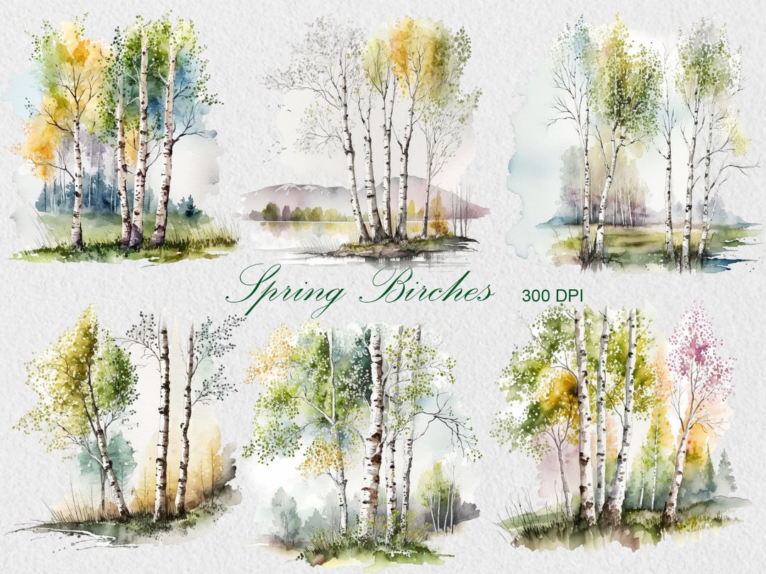 Spring Birch Trees Clipart, Birch Grove PNG, Commercial Use Clipart - Etsy
