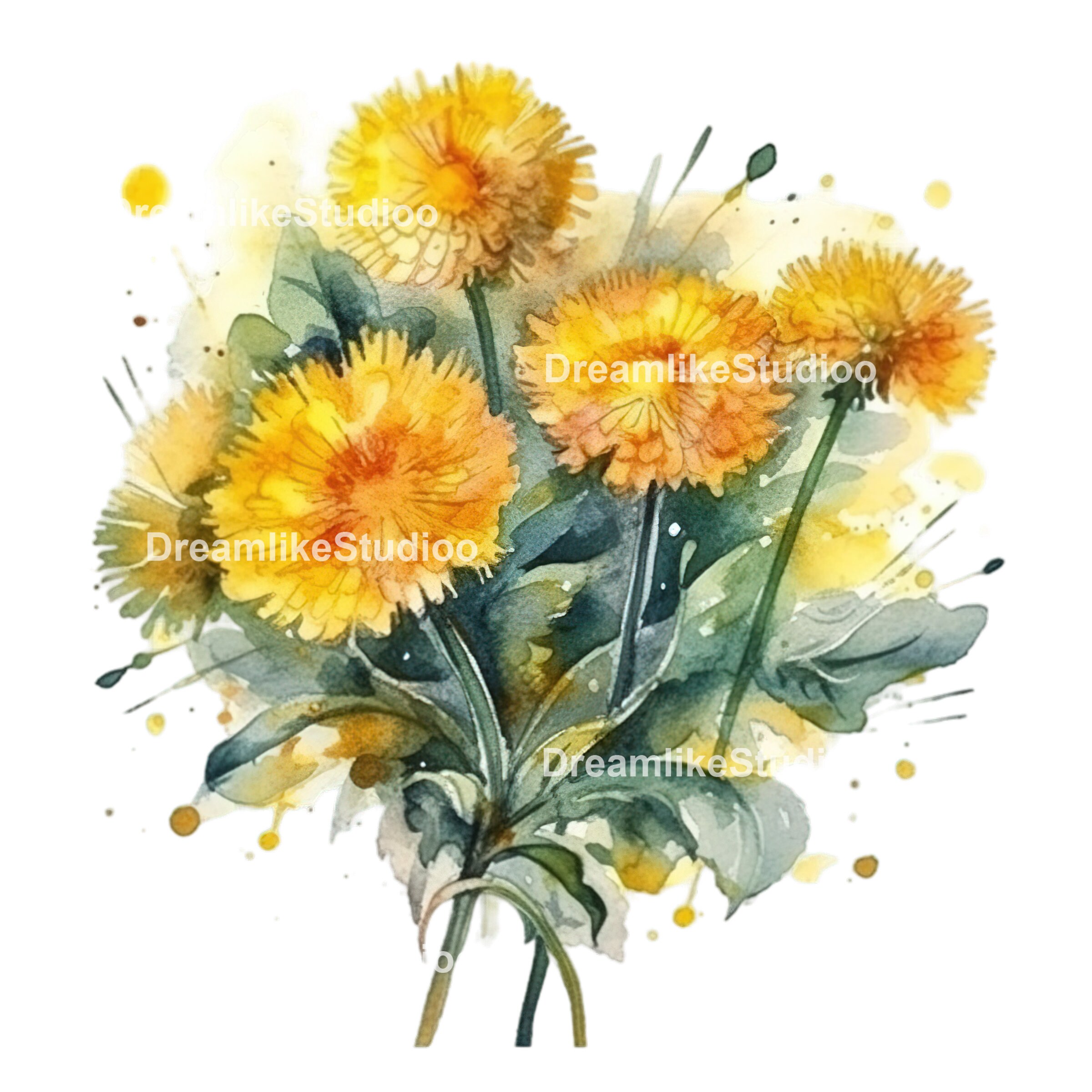 Dandelions Clipart, Watercolor Dandelion PNG, Commercial Use Dandelion ...