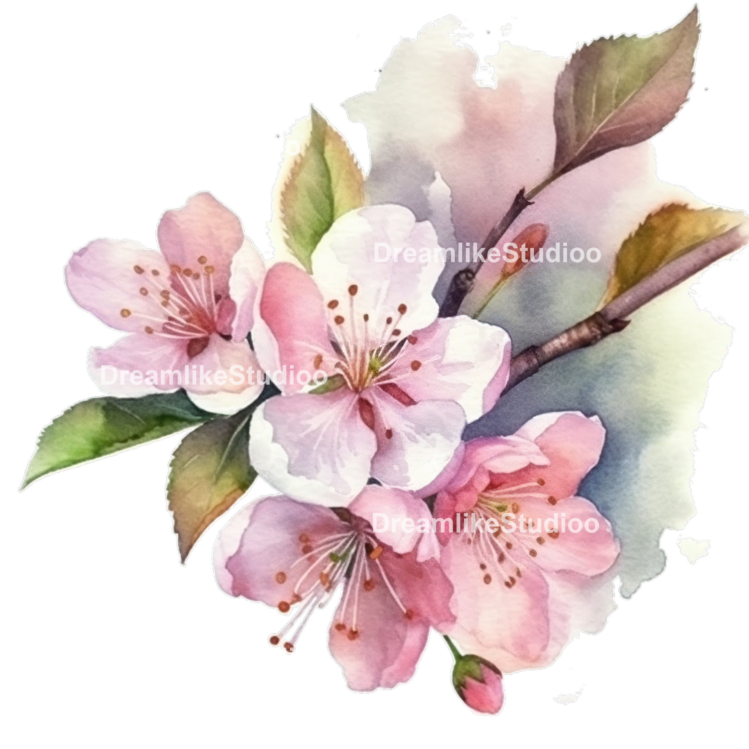 Watercolor Cherry Blossom Clipart Commercial Use Spring - Etsy