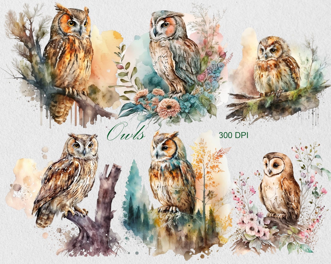 Watercolor Owl Clipart, Owl Watercolor, Owl Clip Art PNG, Printable ...