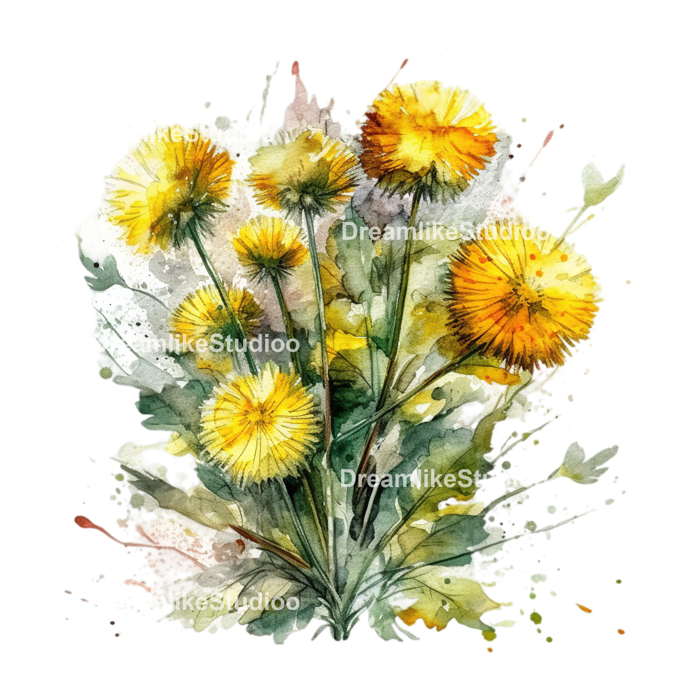 Dandelions Clipart, Watercolor Dandelion PNG, Commercial Use Dandelion ...