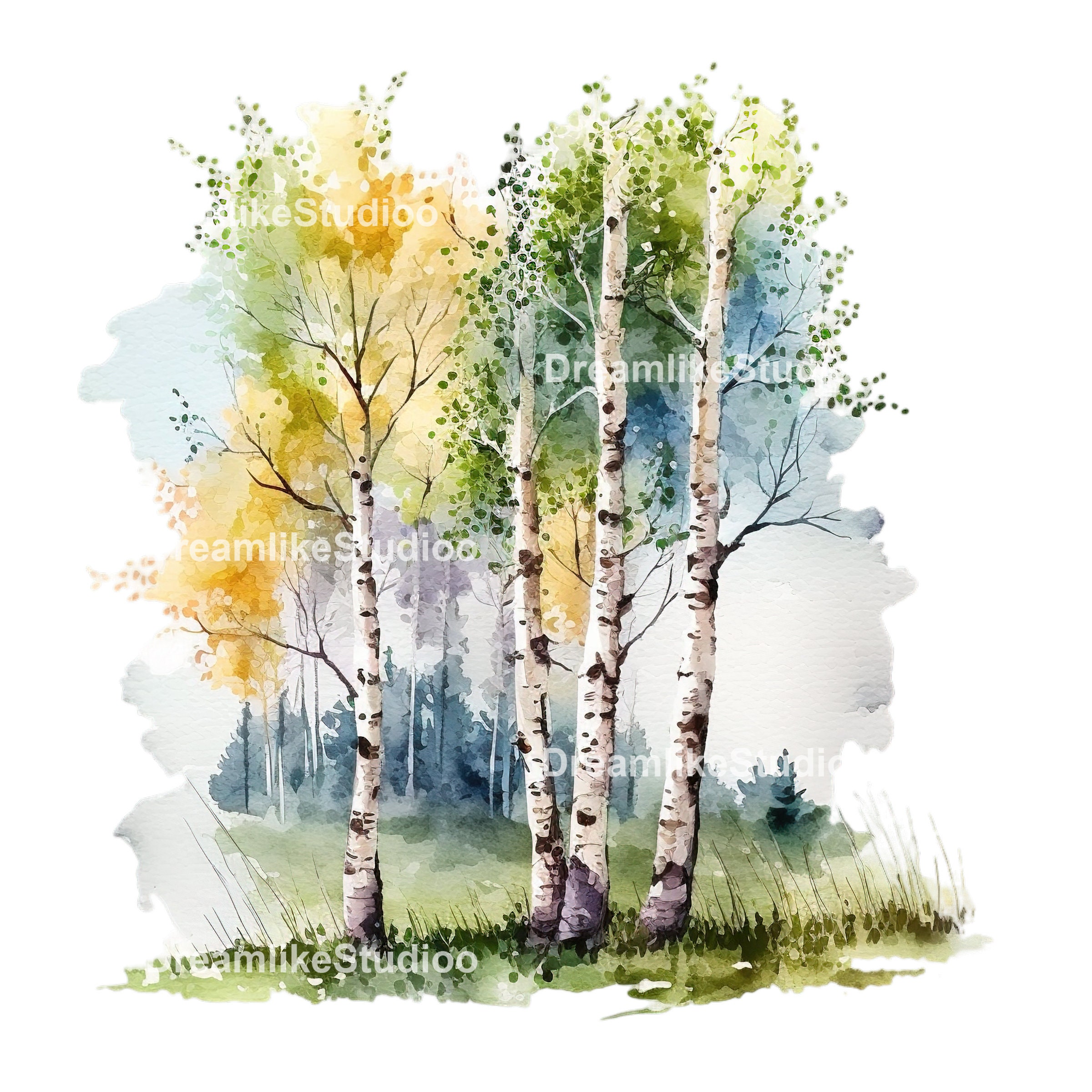 Spring Birch Trees Clipart, Birch Grove PNG, Commercial Use Clipart - Etsy