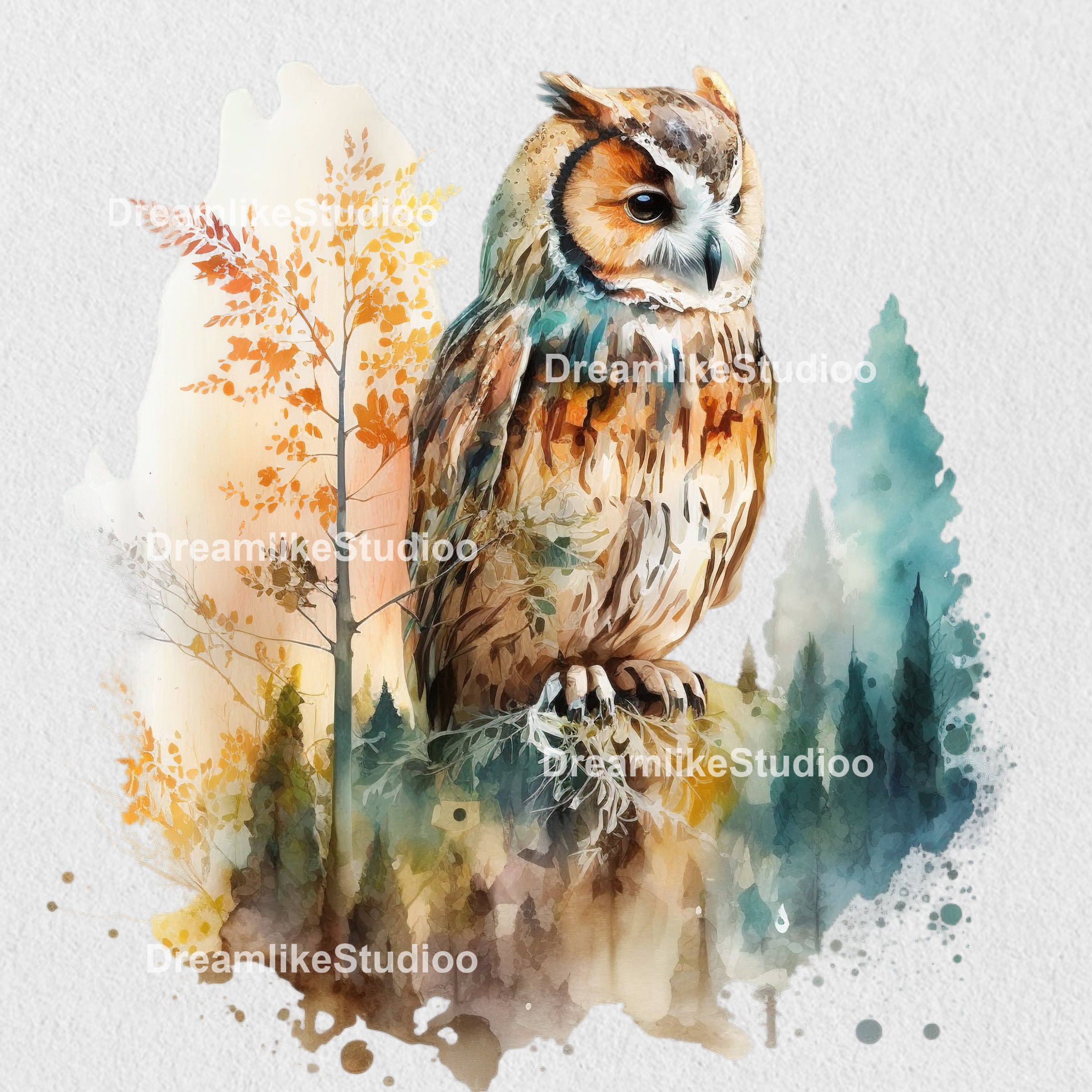 Watercolor Owl Clipart Owl Watercolor Owl Clip Art PNG - Etsy
