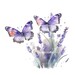 Watercolor Lavender Butterflies Clipart, Commercial Use Clipart, Floral ...