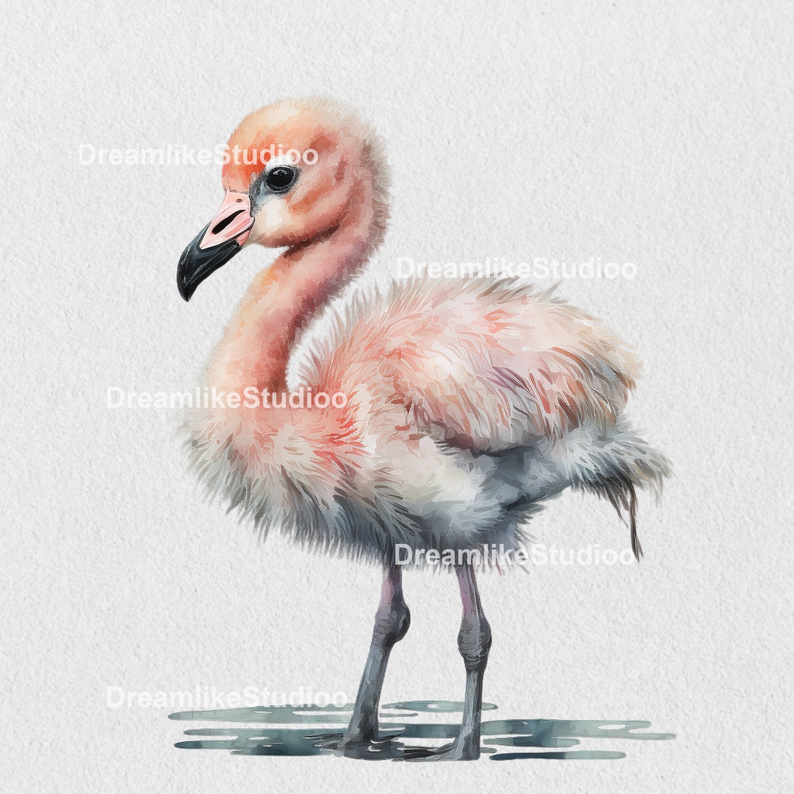 Watercolor Cute Flamingo Clipart Birds Clipart Digital - Etsy