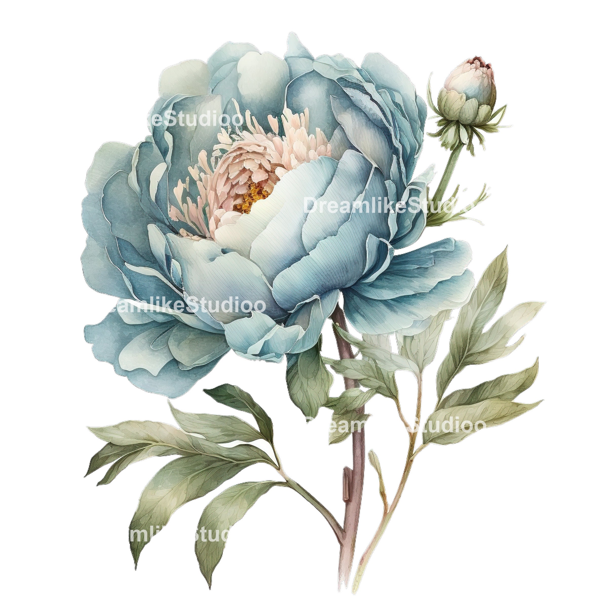 Watercolor Peony Clipart, Commercial Use Clipart, Blue Flower Clipart ...