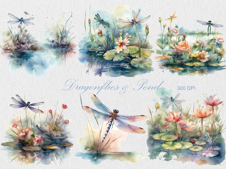 Watercolor Dragonfly Clipart, Commercial Use Clipart, Dragonflies Scene ...