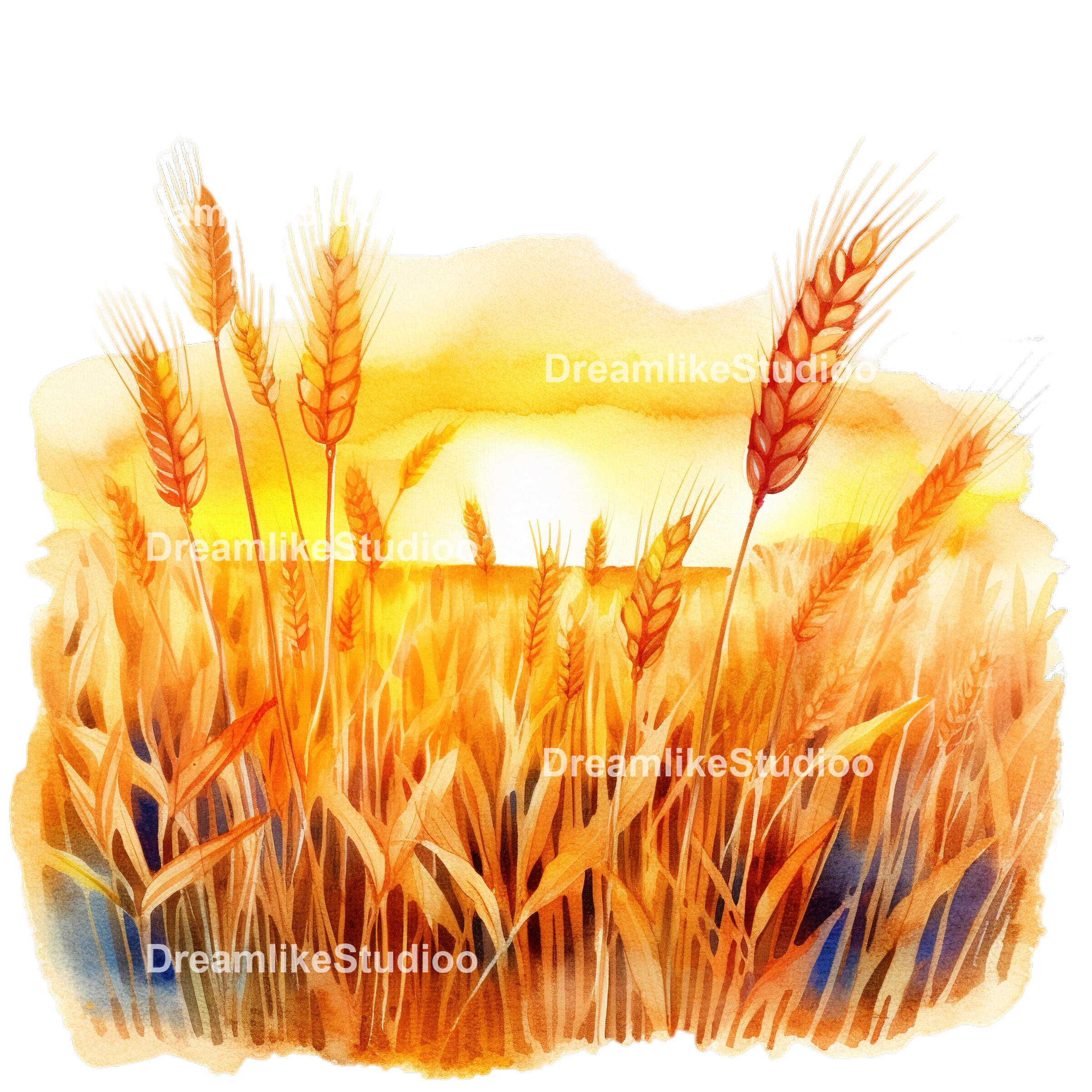 Watercolor Wheat Field Clipart Commercial Use Sunset Clipart - Etsy