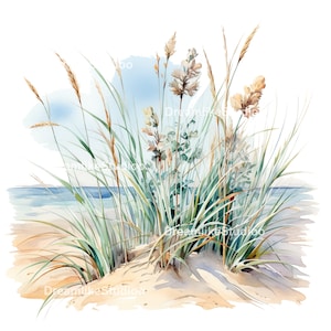 Watercolor Seashore Clipart, Commercial Use Beach Grass Clipart ...