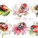 Watercolor Ladybug Clipart, Commercial Use Lady Bug PNG, Insect Clipart ...