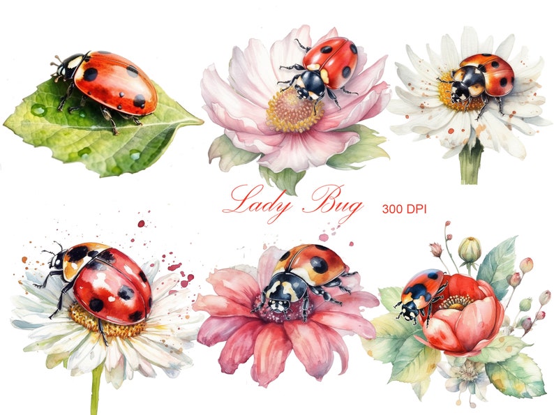 Watercolor Ladybug Clipart, Commercial Use Lady Bug PNG, Insect Clipart ...