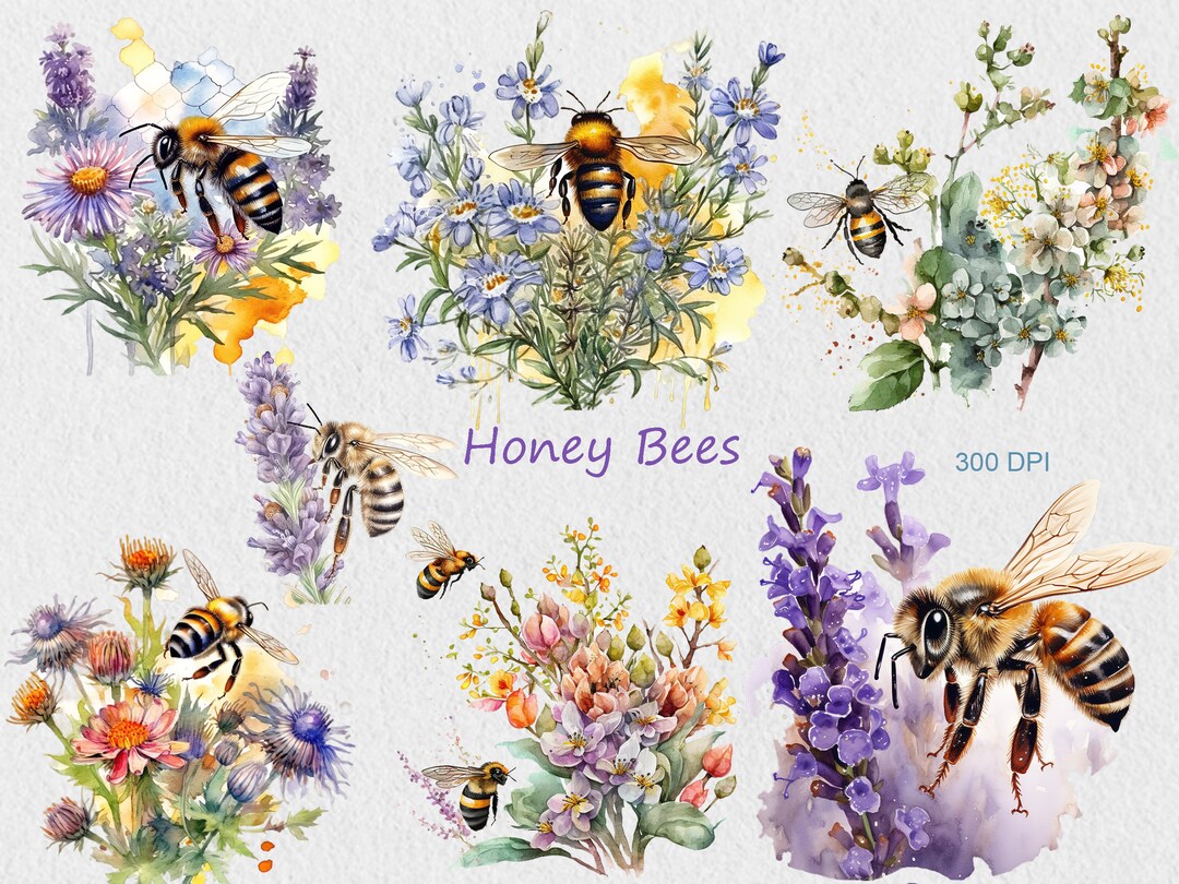 Honey Bee Clipart PNG, Watercolor Bees, Commercial Use Clipart, Bees ...