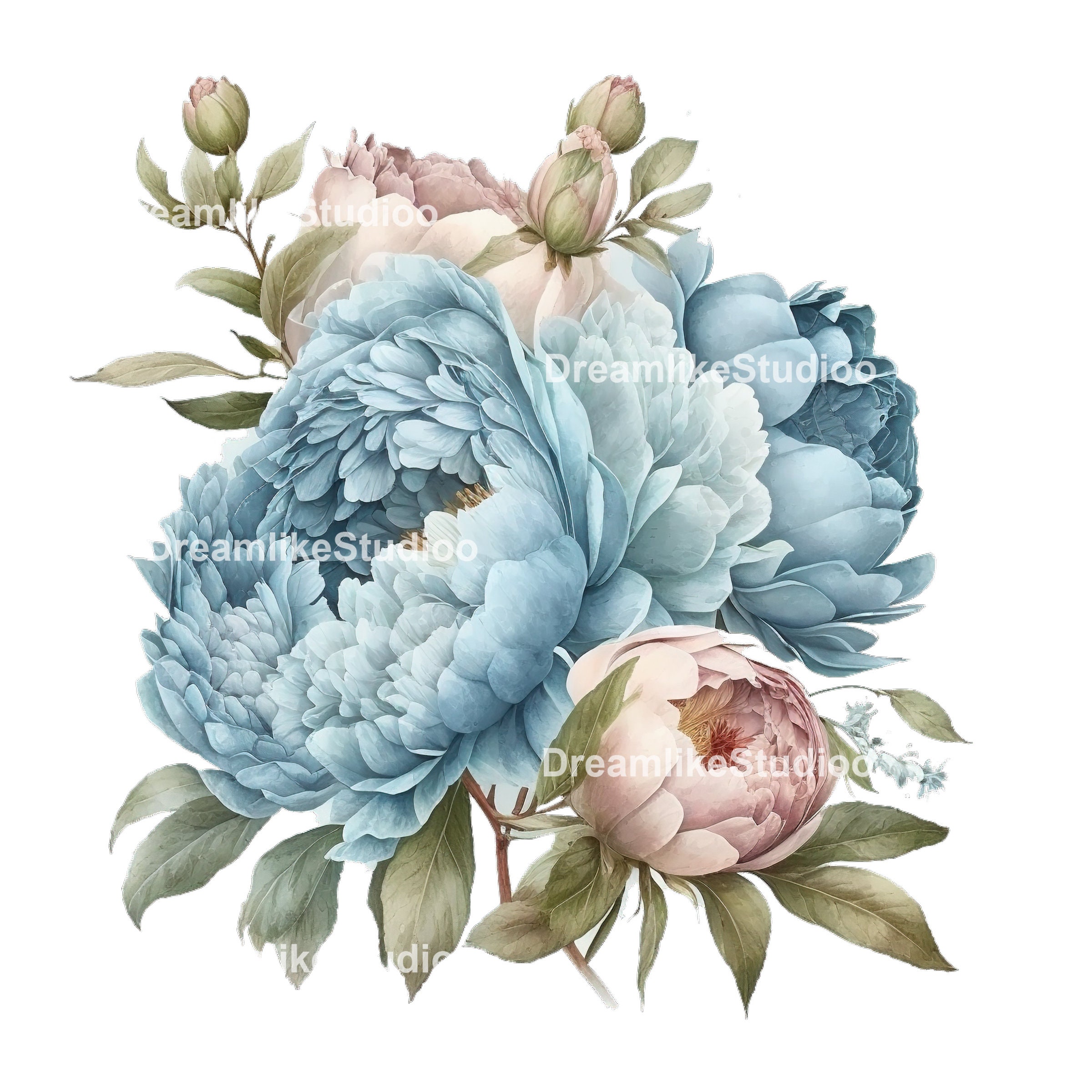 Watercolor Peony Clipart, Commercial Use Clipart, Blue Flower Clipart ...