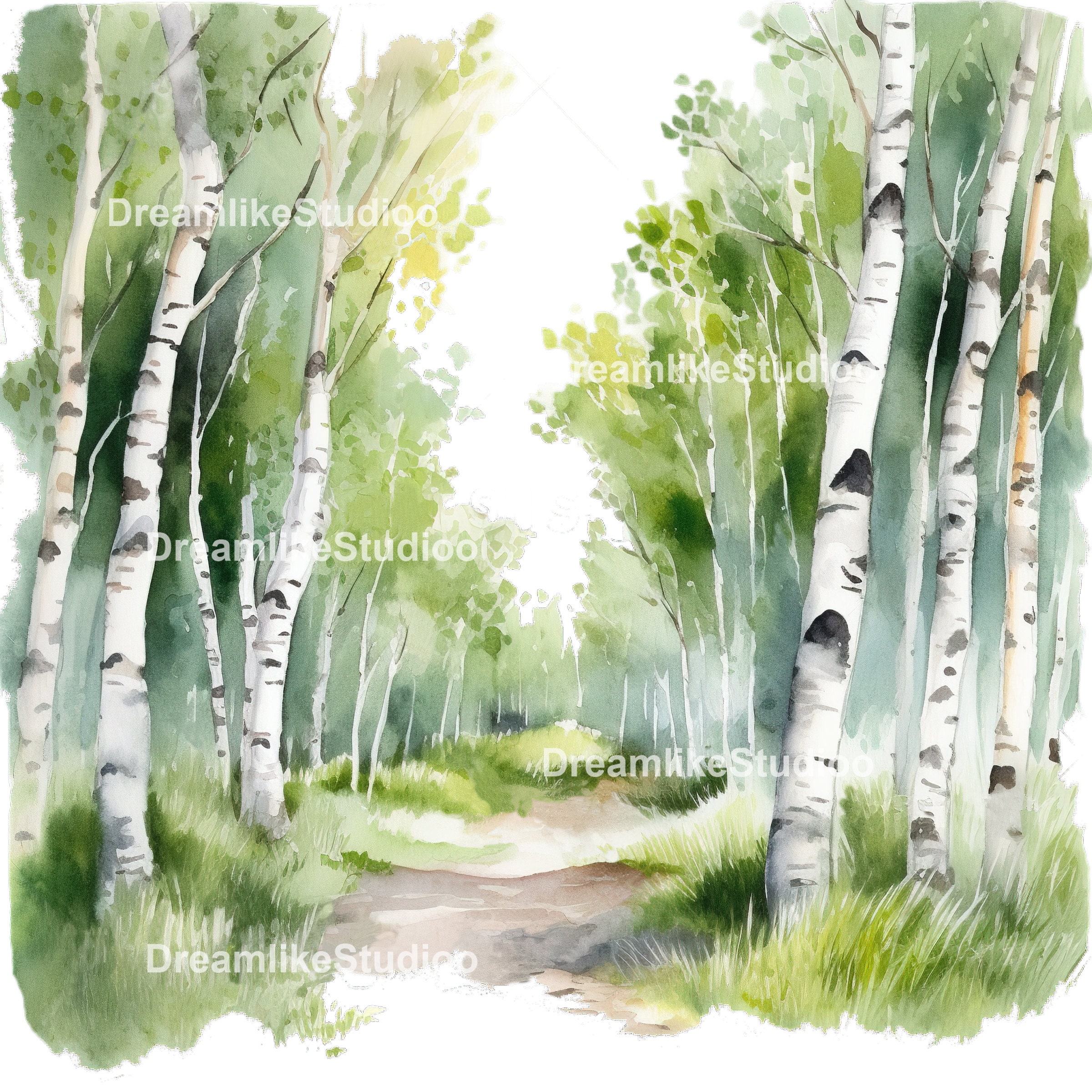 Summer Birch Tree Clipart Watercolor Birch Grove PNG - Etsy