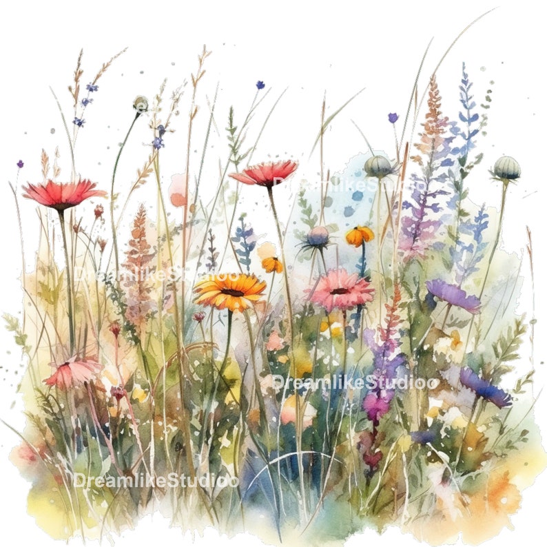 Watercolor Wildflower Meadows Clipart Commercial Use Clipart - Etsy