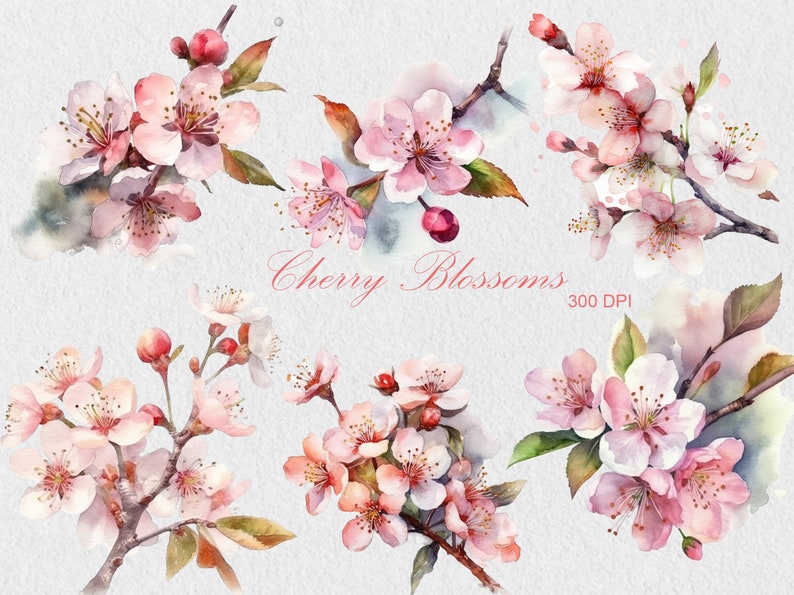 Watercolor Cherry Blossom Clipart Commercial Use Spring - Etsy