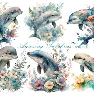 Floral Dolphin Clipart, Commercial Use Watercolor Dolphin PNG Digital ...
