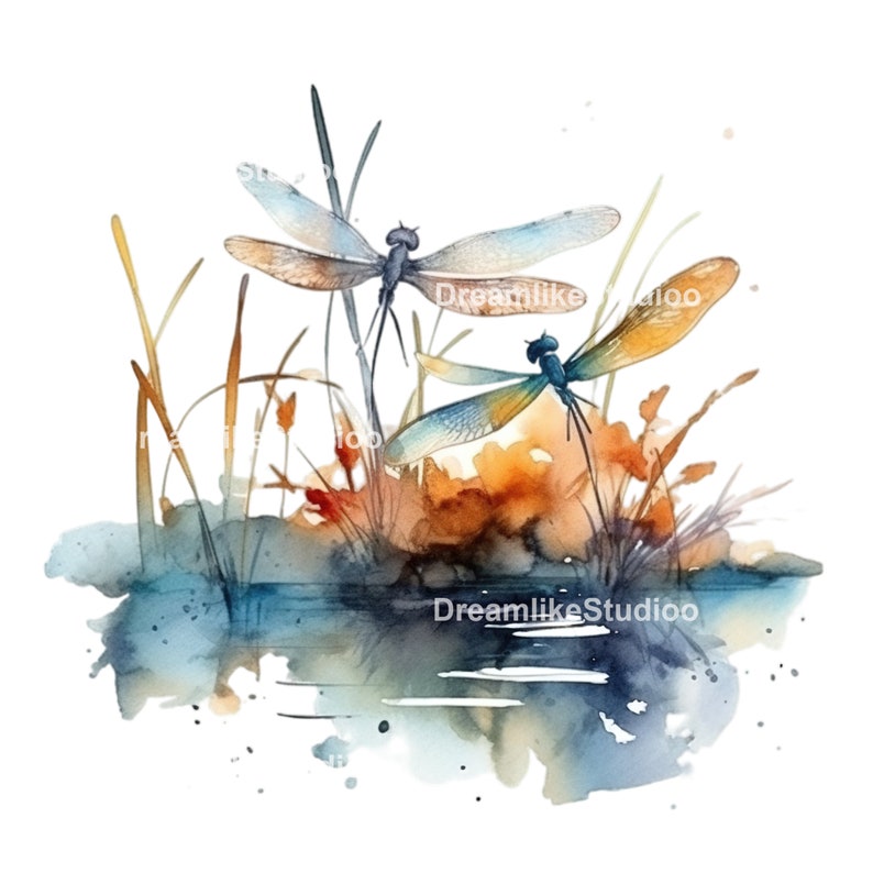 Watercolor Dragonfly Clipart, Commercial Use Clipart, Dragonflies Scene ...