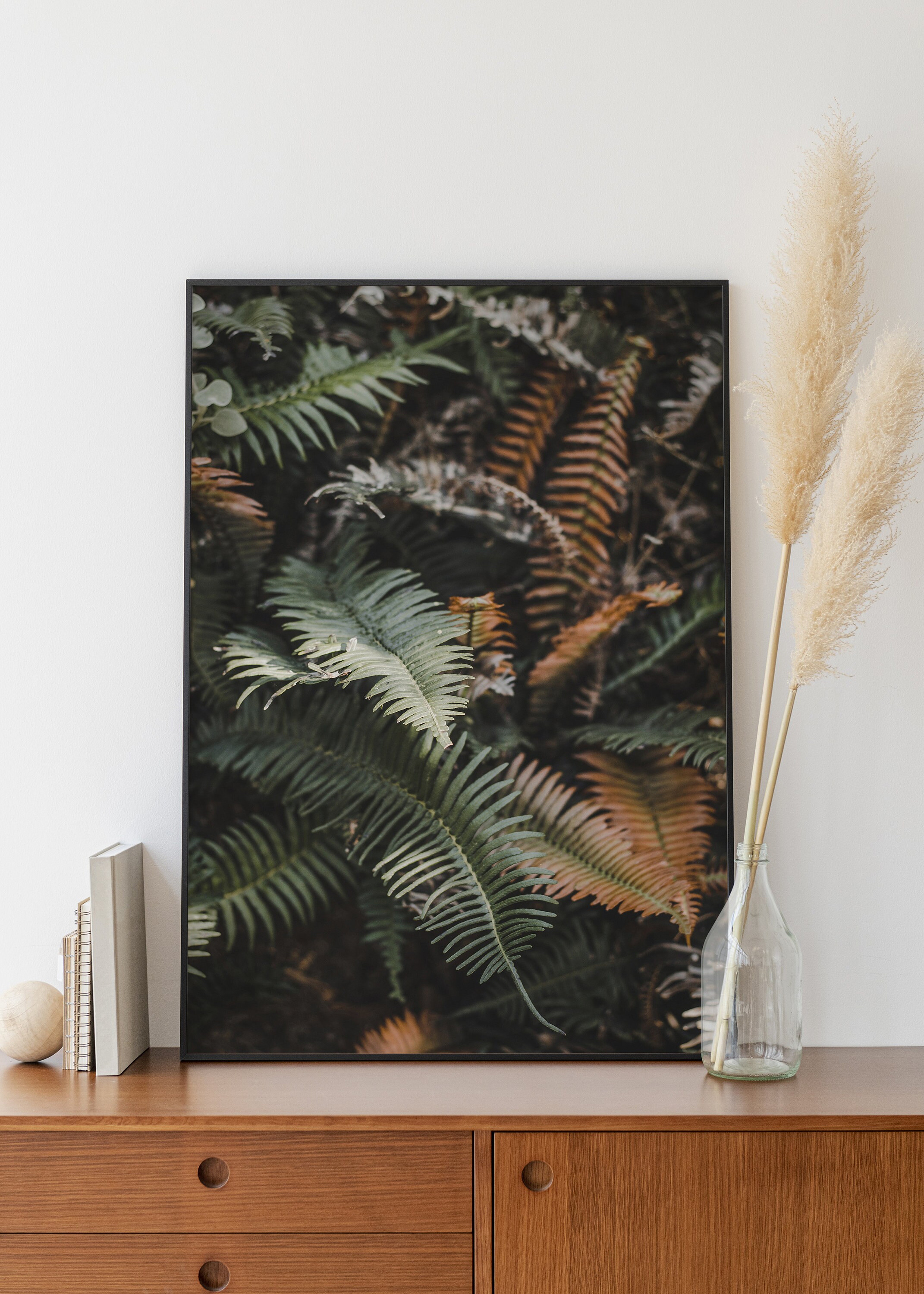 Ferns Print Ferns Wall Art Pacific Northwest Print Nature - Etsy