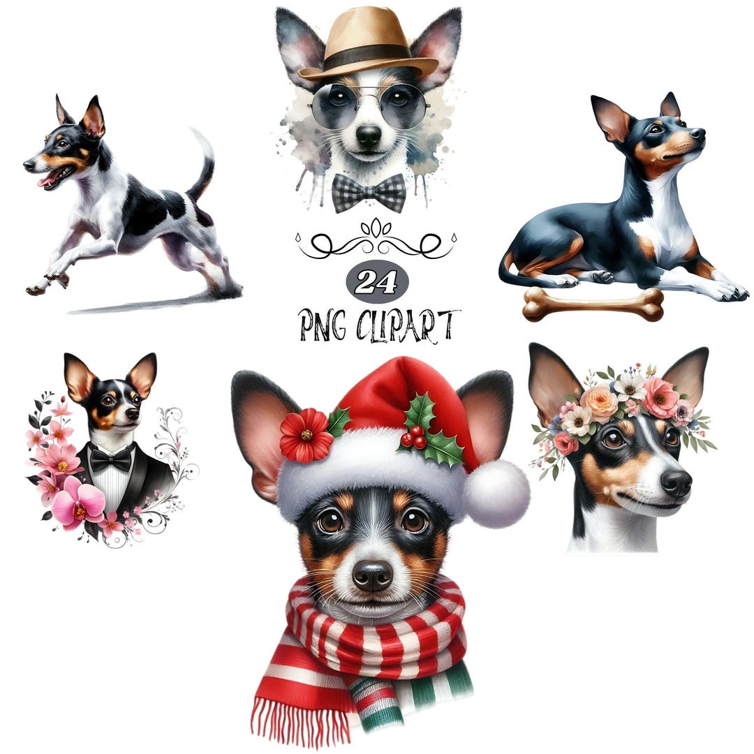 Rat Terrier Clipart, Watercolor Dog Clipart, Rat Terrier PNG, Card ...