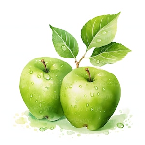 29 Apple Watercolor Clipart, High Quality PNG, Fruit Clipart, Apple Png ...