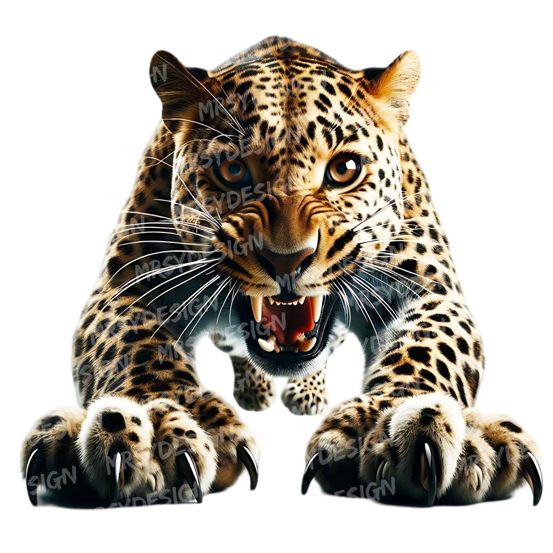 Leopard Clipart Bundle, Ferocious Leopard Clipart, Leopard Tattoo ...