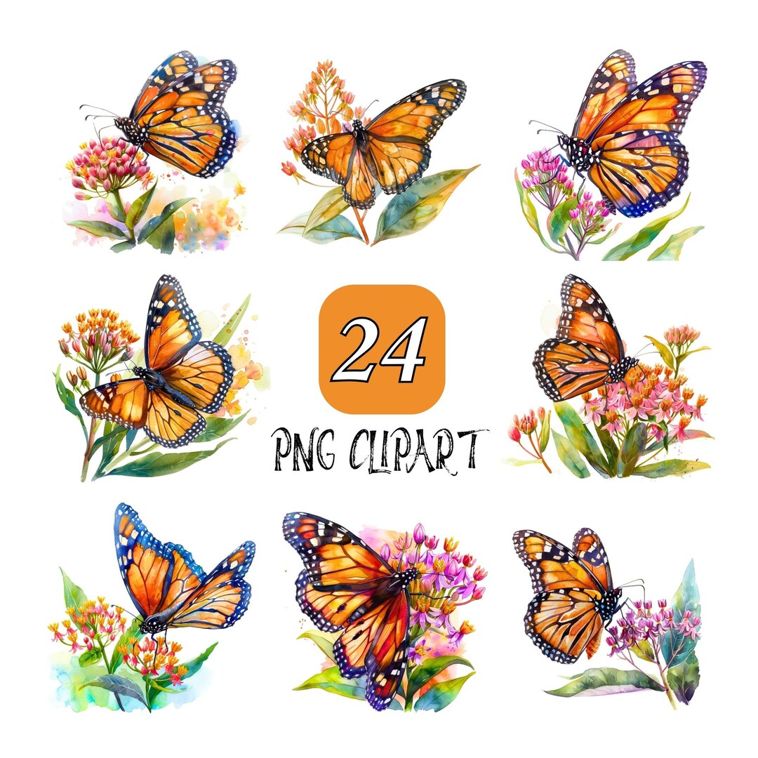 Watercolor Monarch Butterfly on Milkweed Flower Clipart, High Quality ...