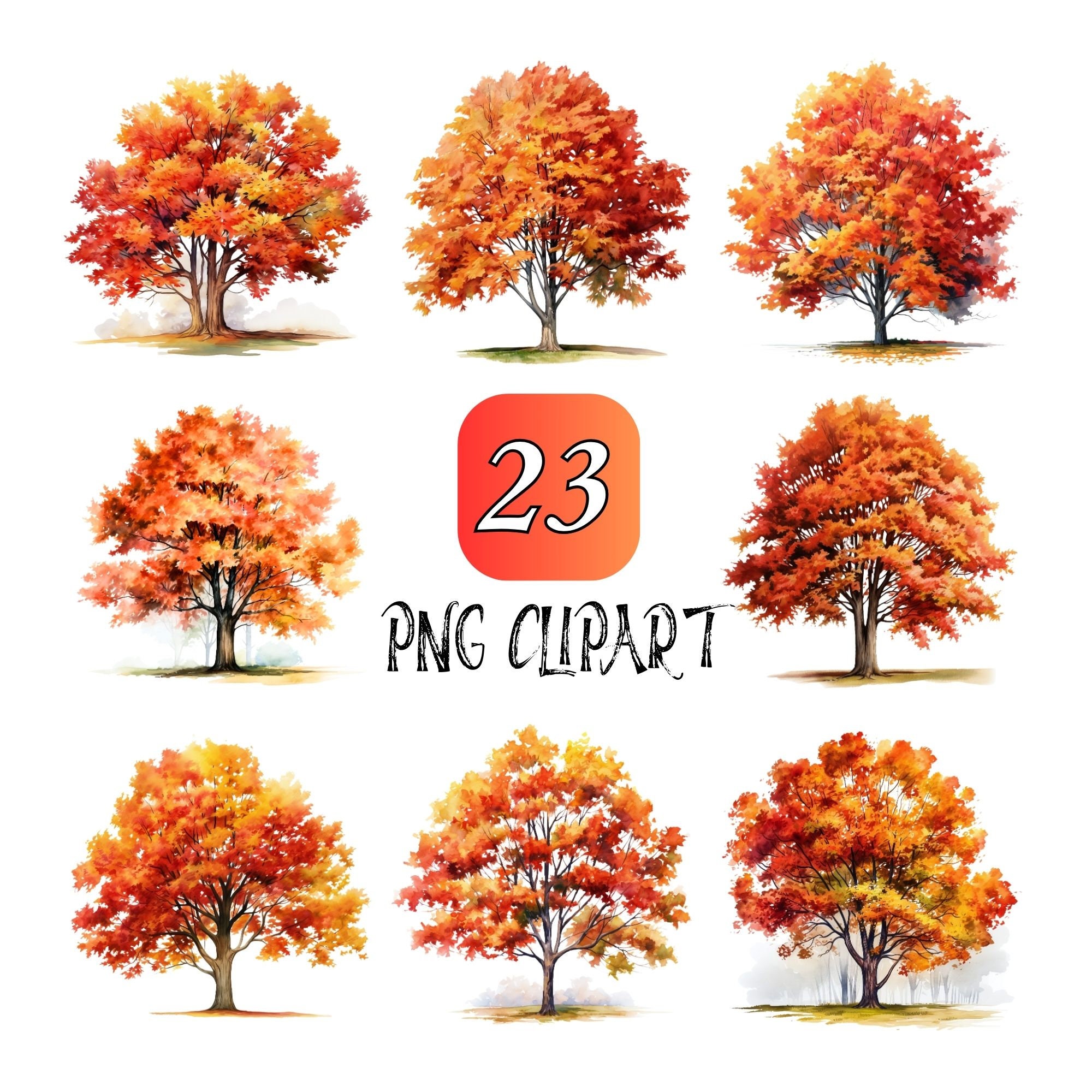 23 Maple Tree Clipart, Flowers Clipart, High Quality PNG, Watercolor ...