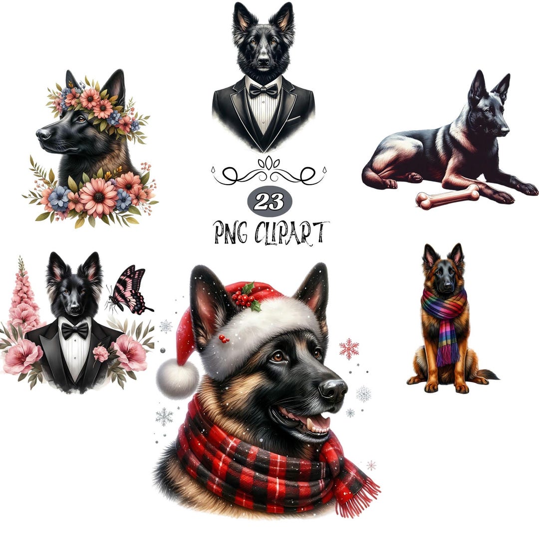 Dutch Shepherd Clipart, Watercolor Dog Clipart, Dutch Shepherd PNG ...