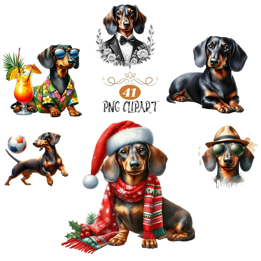 Dachshund Clipart, Watercolor Dog Clipart, Bundle Set, Dachshund PNG ...