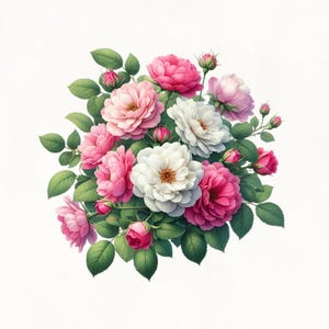 Watercolor Wild Roses Clipart, Pink Floral Elements, Wildflower Bouquet ...