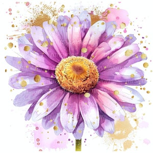 Birth Month Flower Daisy Clipart, Flowers Clipart, High Quality PNG ...