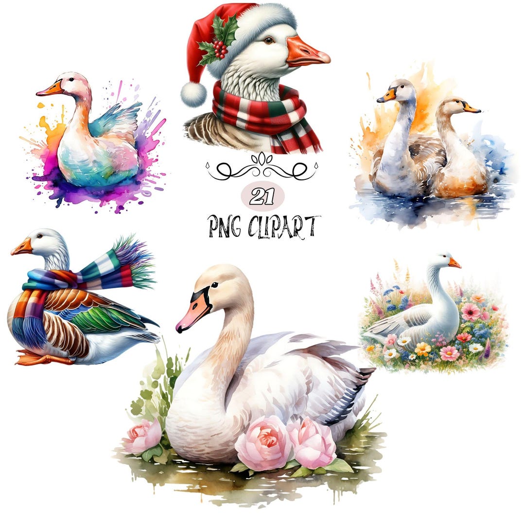 Goose Clipart, Watercolor Goose Clipart, Goose PNG, Card Making ...