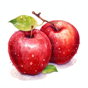 29 Apple Watercolor Clipart, High Quality PNG, Fruit Clipart, Apple Png ...