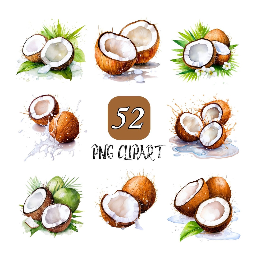 52 Coconut Watercolor Clipart, Summer Fruit Clip Art, Fruit Clipart ...