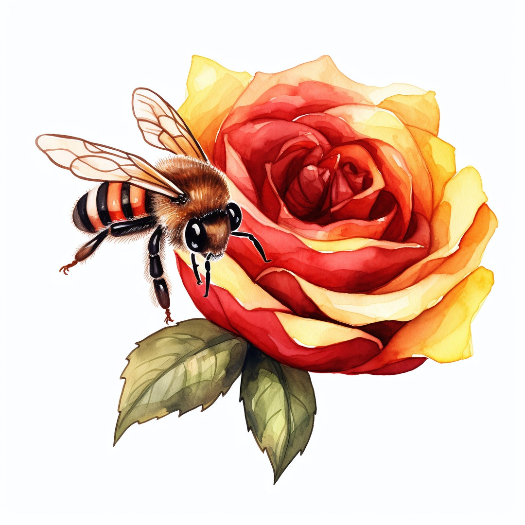 24 Bees in Flowers Clipart, High Quality PNG, Roses Bees Clipart ...