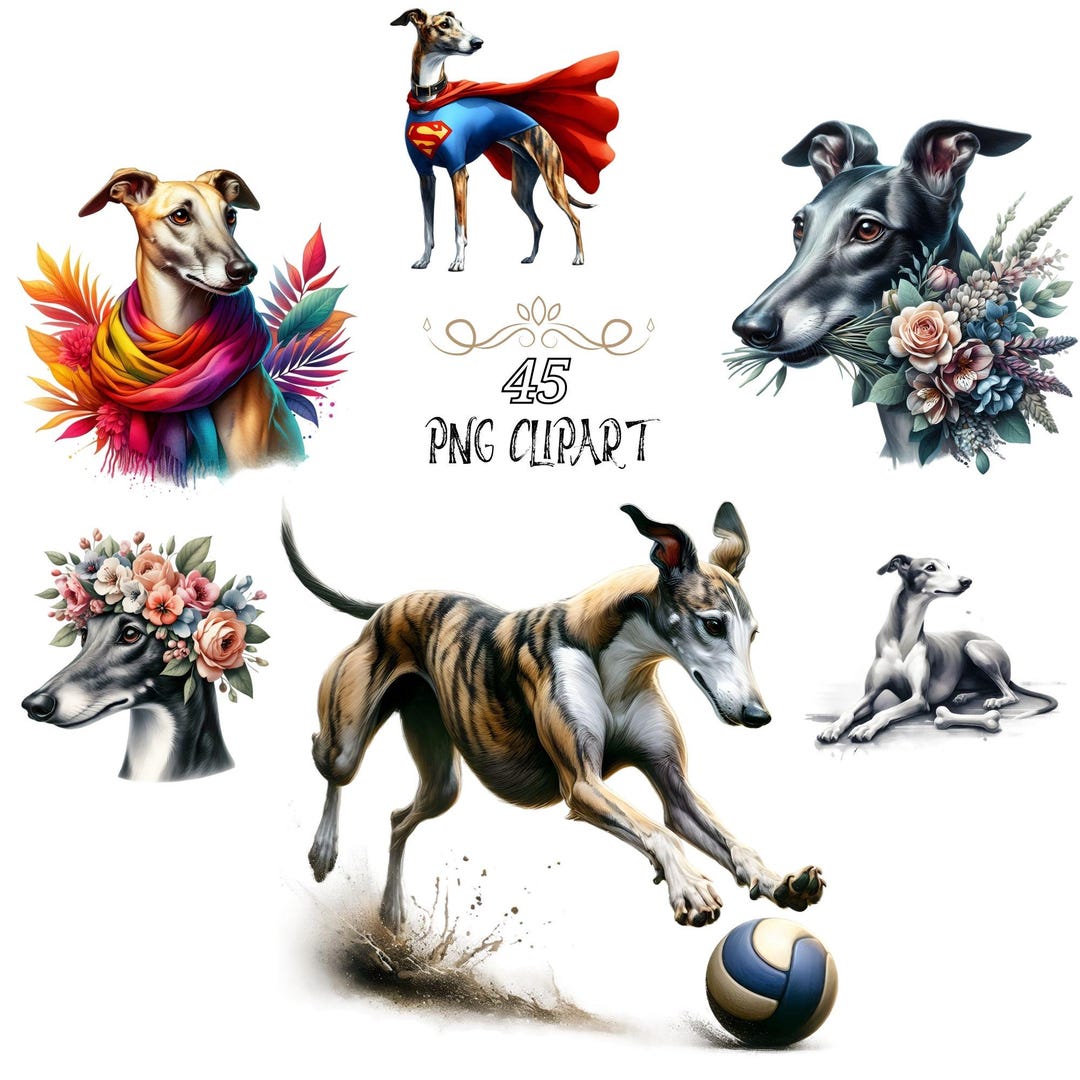 Greyhound Clipart, Watercolor Dog Clipart, Bundle Set, Greyhound PNG ...