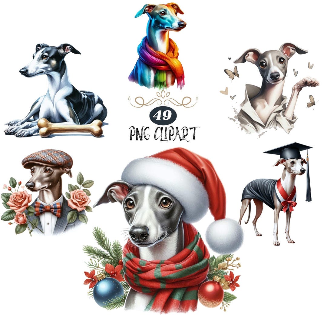 Italian Greyhound Clipart, Watercolor Dog Clipart, Italian Greyhound ...