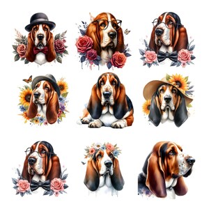Basset Hound Clipart, Dog Clipart, 30 Bundle Set, Watercolor Basset ...