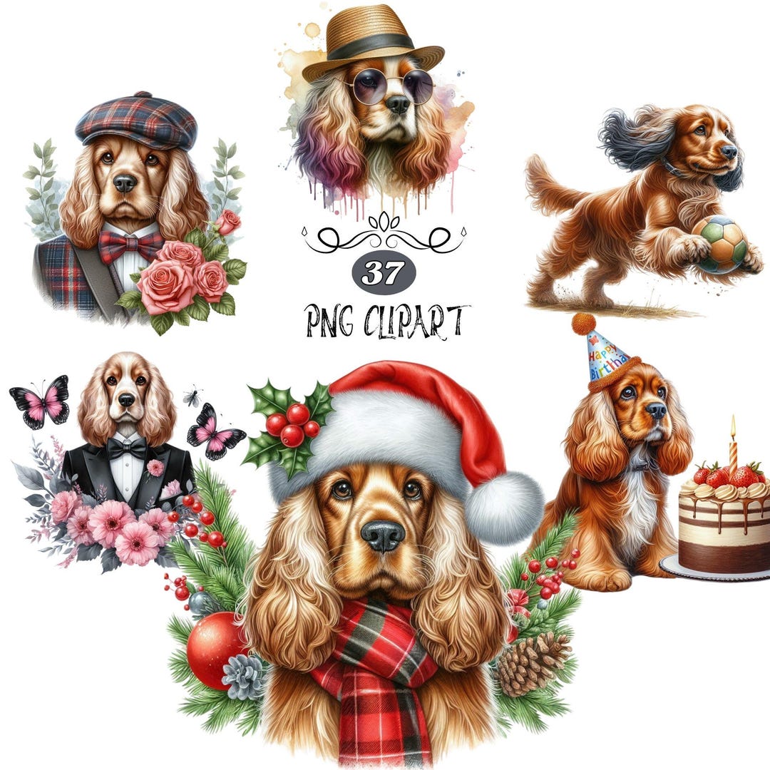 English Cocker Spaniel Clipart, Watercolor Dog Clipart, English Cocker ...
