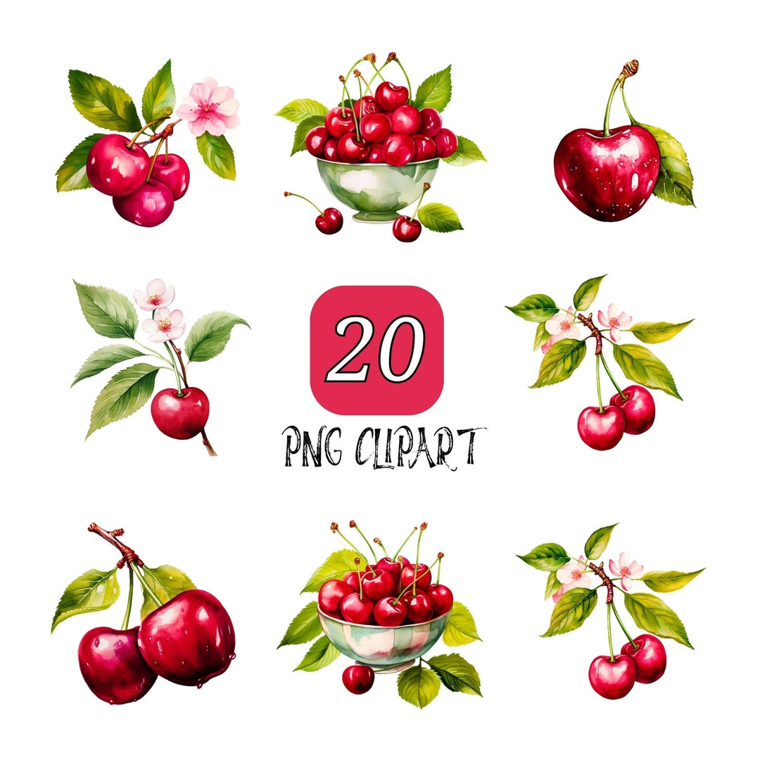 Cherry Watercolor Clip Art, Cherry Art, High Quality PNG, Watercolor ...